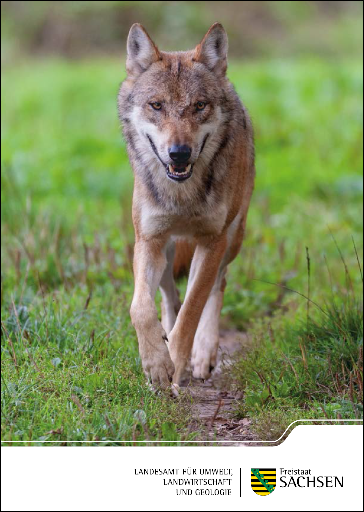 Postkartenserie Europäischer Grauwolf - Publikationen - sachsen.de