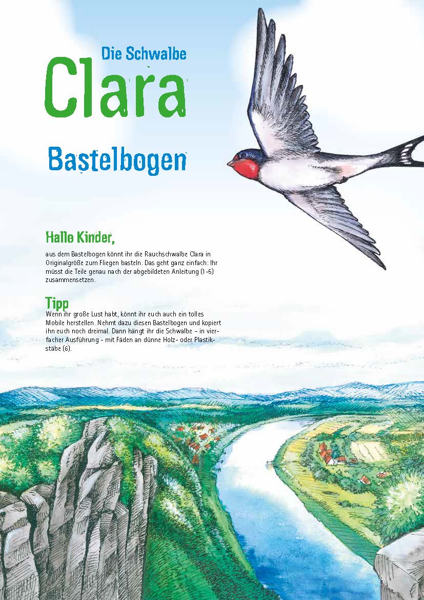 Die Schwalbe Clara - Bastelbogen - Publikationen - sachsen.de
