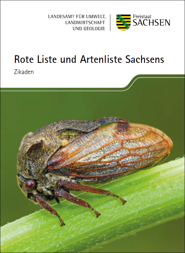 Rote Liste und Artenliste Sachsens - Zikaden - Publikationen - sachsen.de