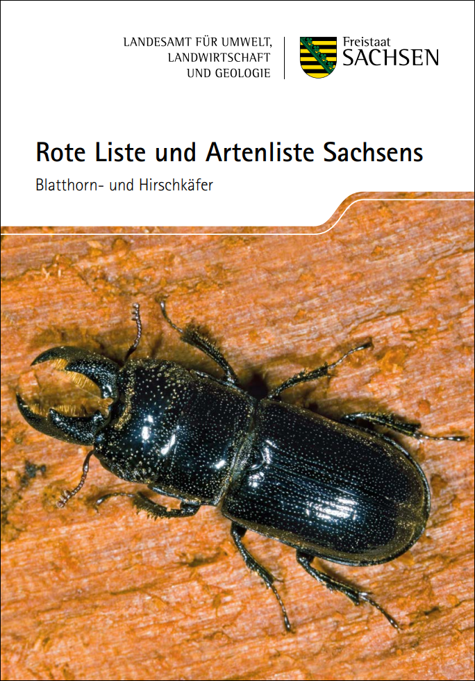 Rote Liste und Artenliste Sachsens - Blatthorn- und Hirschkäfer ...