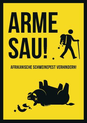 Arme Sau! - Info-Karte - Publikationen - sachsen.de